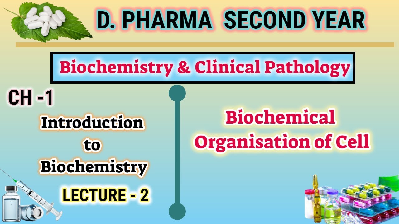 Biochemical organisation of cell | Ch-1 | L-2 | Biochemistry & clinical ...
