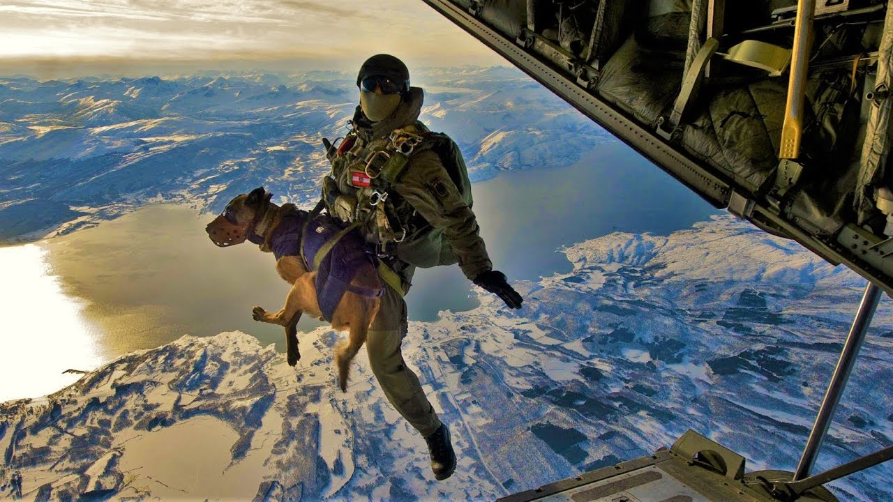 12 Animals With Amazing Jobs - YouTube