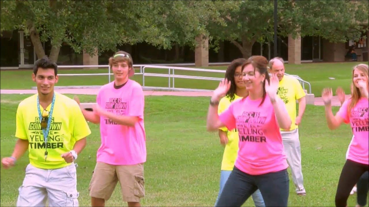 ACC Flash Mob Timber - YouTube