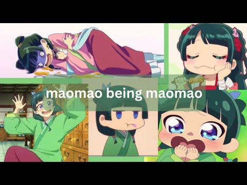maomao being ✨maomao✨