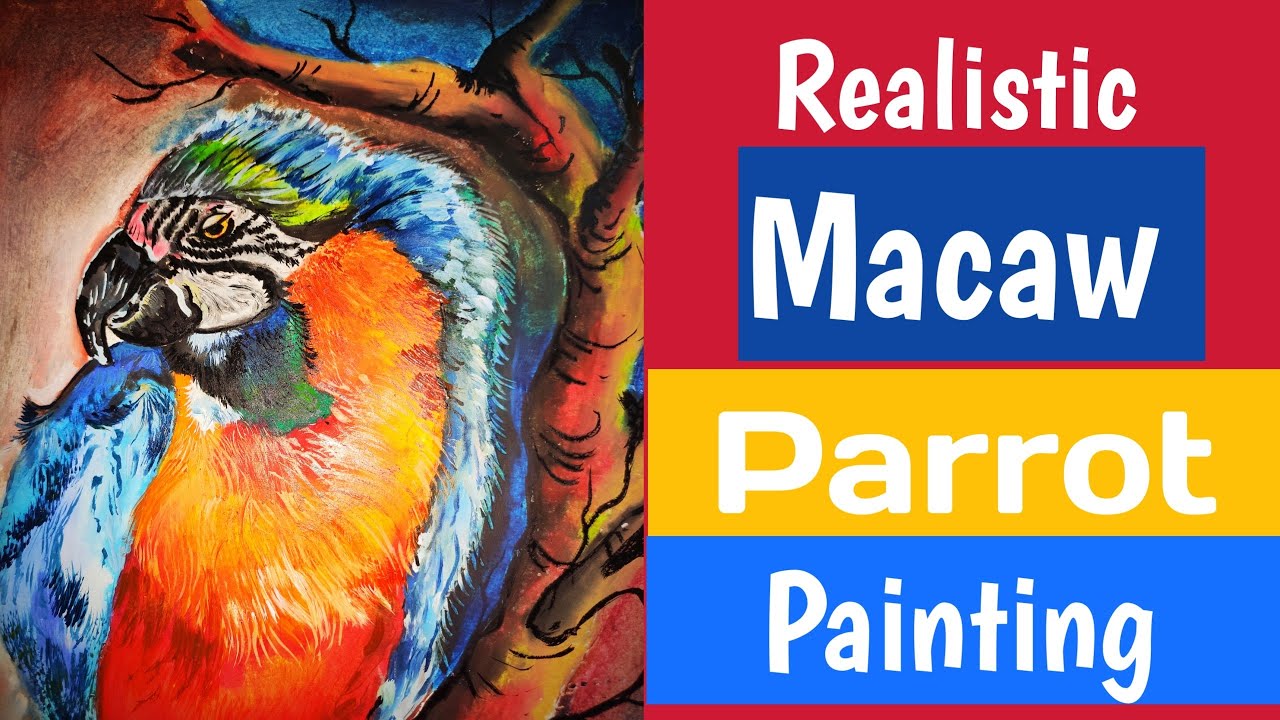 Realistic Macaw Parrot Painting - YouTube