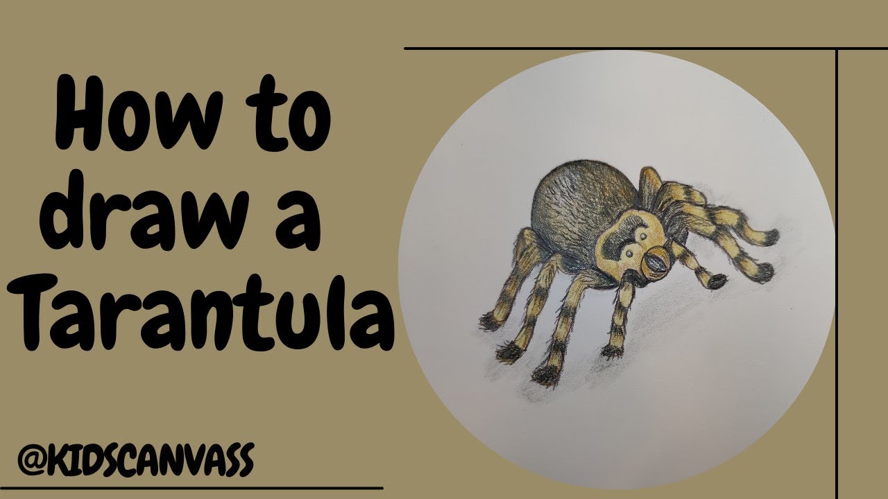 TARANTULA EASY DRAWING | HOW TO DRAW | SIMPLE DRAWING | LEARN TO DRAW ...