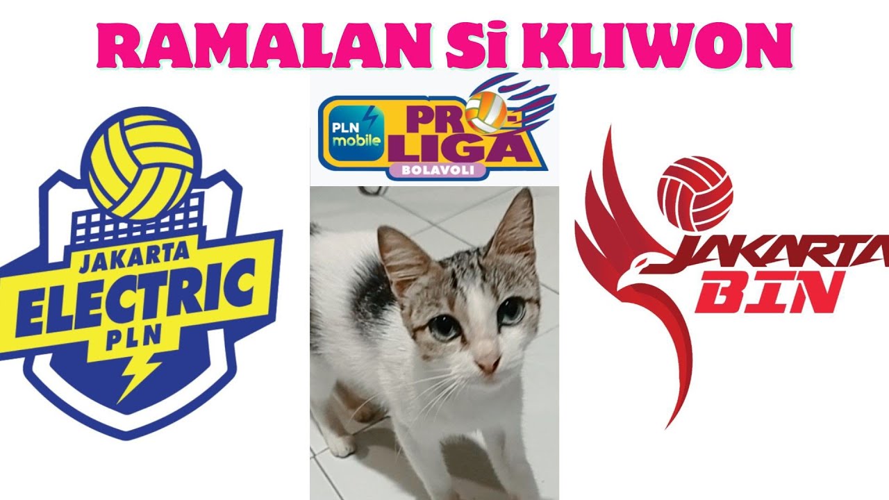 PREDIKSI PROLIGA JKT ELECTRIC PLN VS JAKARTA BIN ramalan kucing si ...