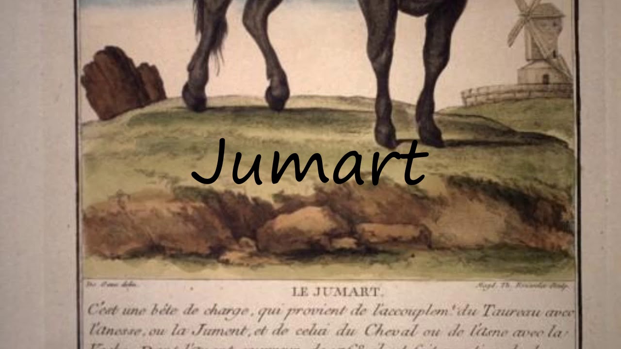 How to Pronounce Jumart? - YouTube
