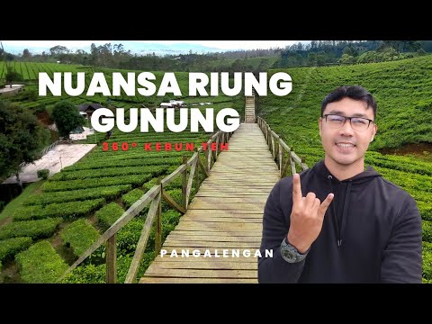 Nuansa Riung Gunung Update 2023 | Pangalengan Bandung #wisatakebunteh # ...