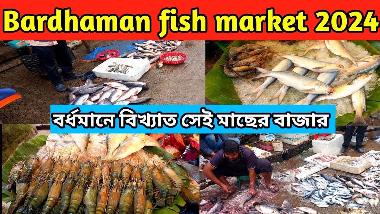 বর্ধমানের বিখ্যাত মাছের বাজার 🐟 bardhaman fish market | Burdwan fish ...