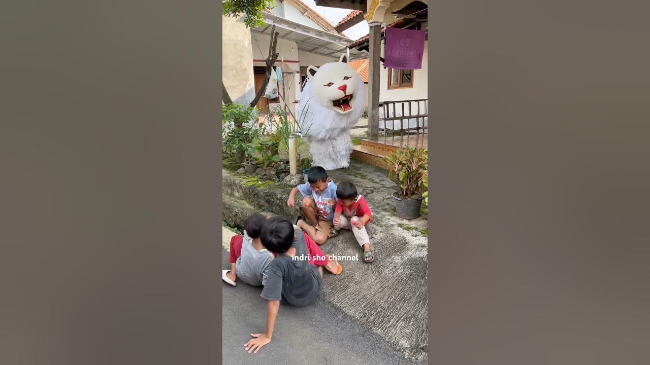 Bocil lagi kumpul ngobrol kaget ada can macanan - YouTube