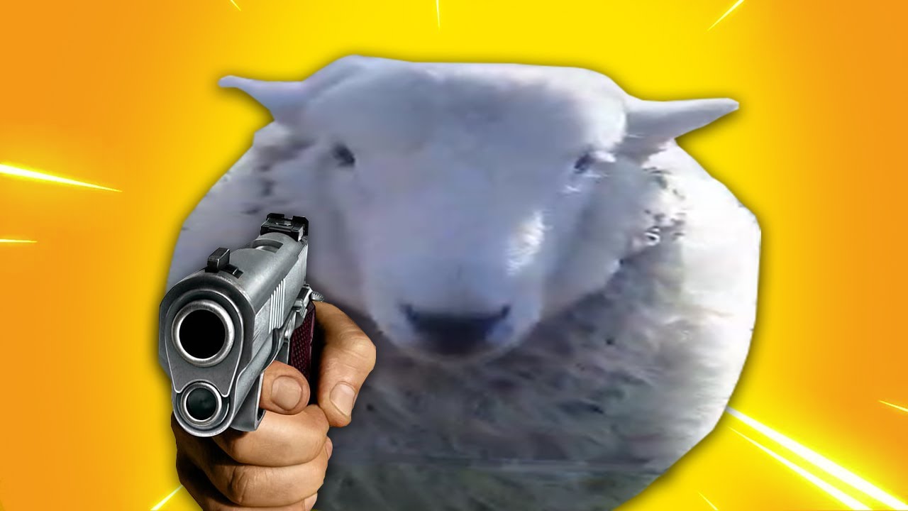 OSCAR La OVEJA | Memes y Shitpost 😈👌 - YouTube