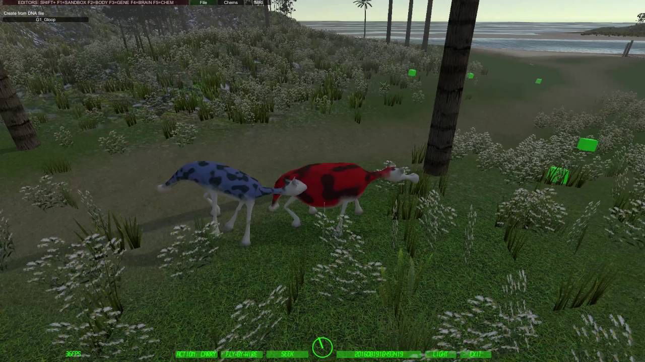 Gloop chasing Gloop (Grandroids) - YouTube