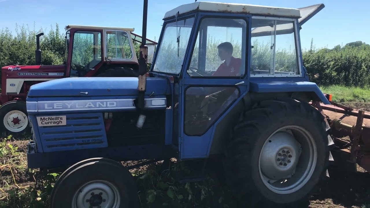 Leyland 344 topping potatoes tractor - YouTube