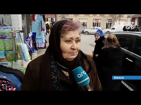 Təbii yoxsa süni yolkalar - ARB Kəpəz