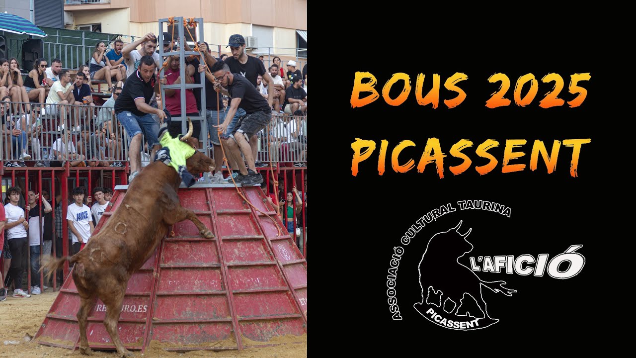 Setmana Taurina de Picassent. Associació Cultural Taurina L´Afició de ...