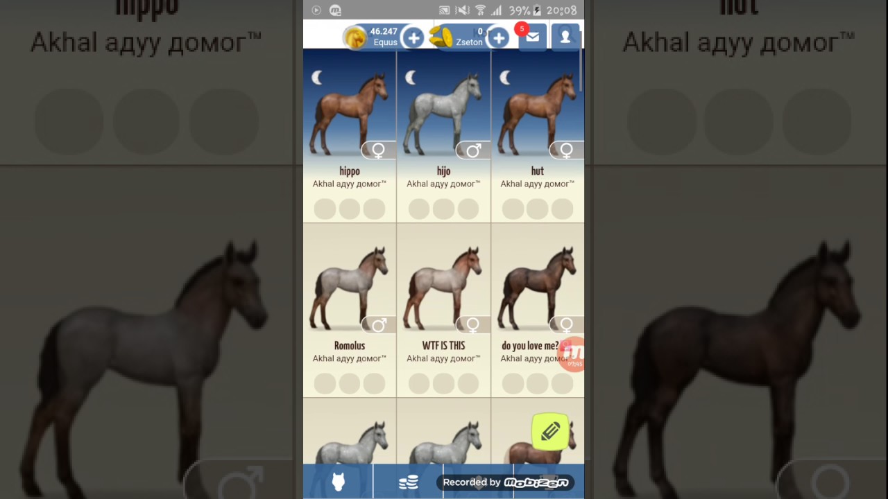 Howrse gameplay 01 - YouTube