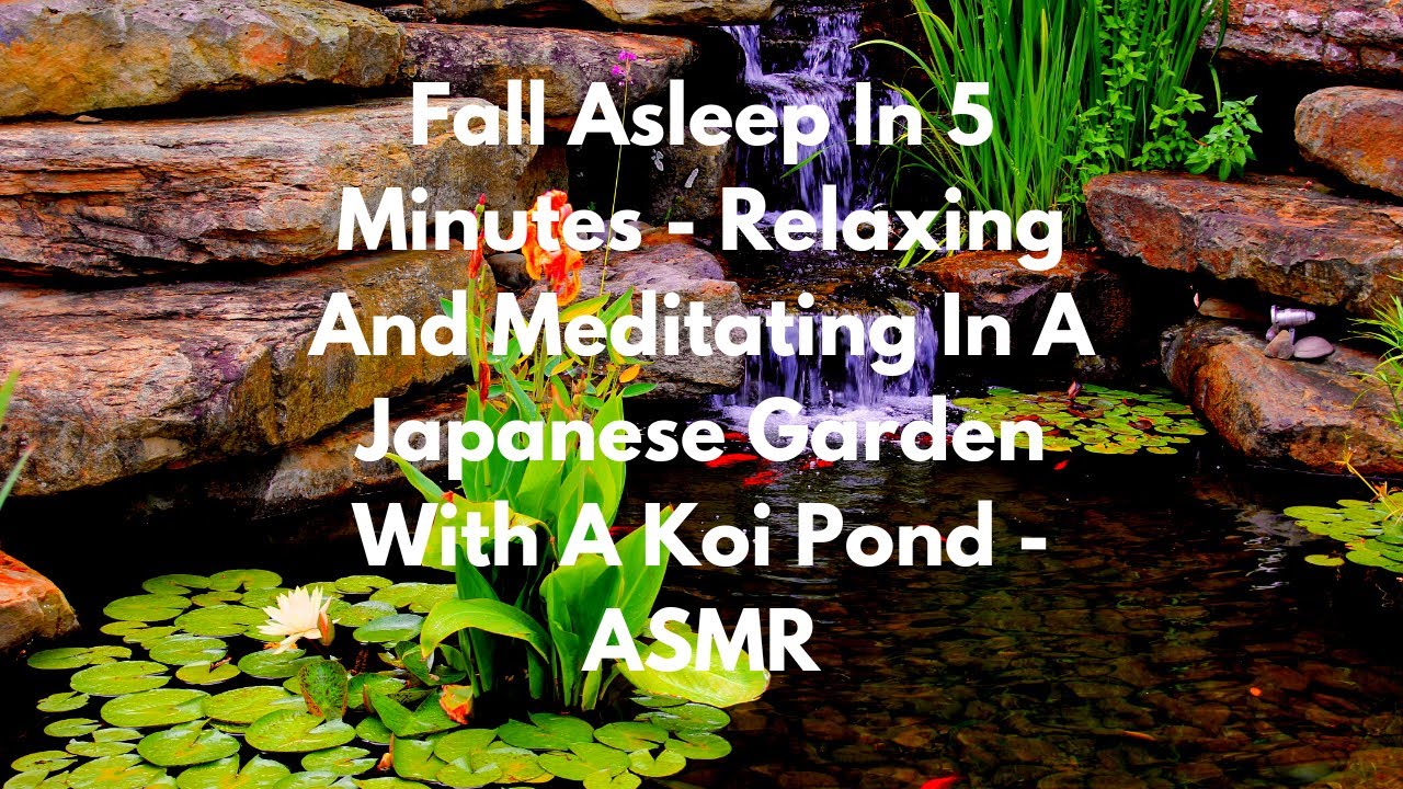 Fall Asleep In 5 Minutes - Relaxing And Meditating In A Japanese Garden ...