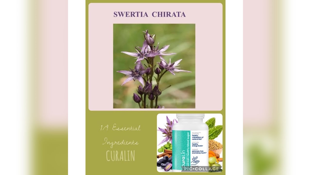 The Safety of Swertia Chirayita: 1:9 Essential Ingredients in CURALIN ...