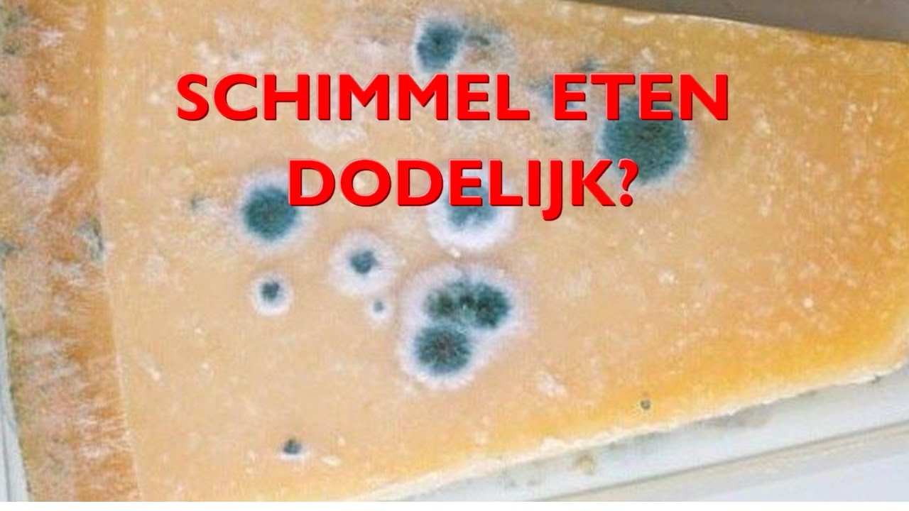 WAT ALS JE SCHIMMEL EET? - YouTube