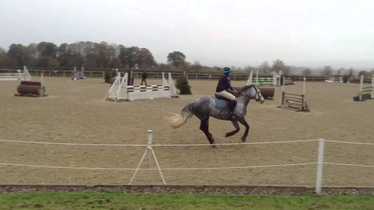 Enys - BE100 Arena Eventing at Coombelands - YouTube