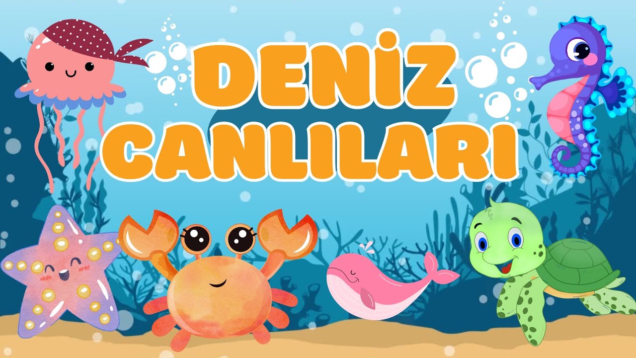 Deniz Canlıları Suda Yaşayan Canlılar Okyanusta Yaşayan Balıklar Okul ...