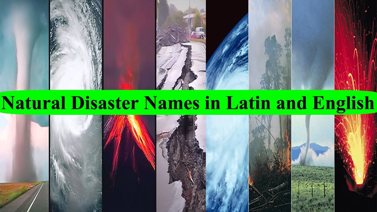 (Part-15) Basic Latin Words | Latin words for beginners | Languages ...