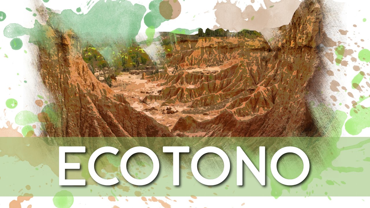 Ecotono Podcast - Dosis Natural - YouTube