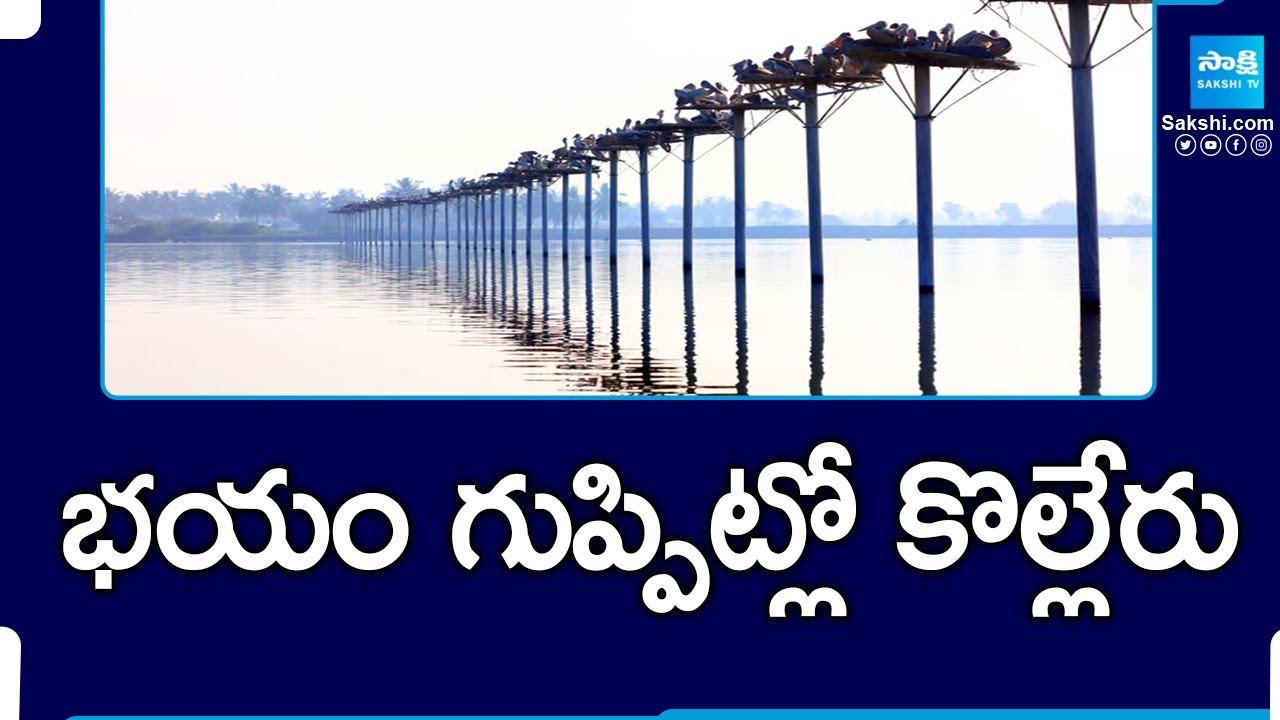 Heavy Flood Water inflow to Kolleru Lake | Budameru | Vijayawada Floods ...