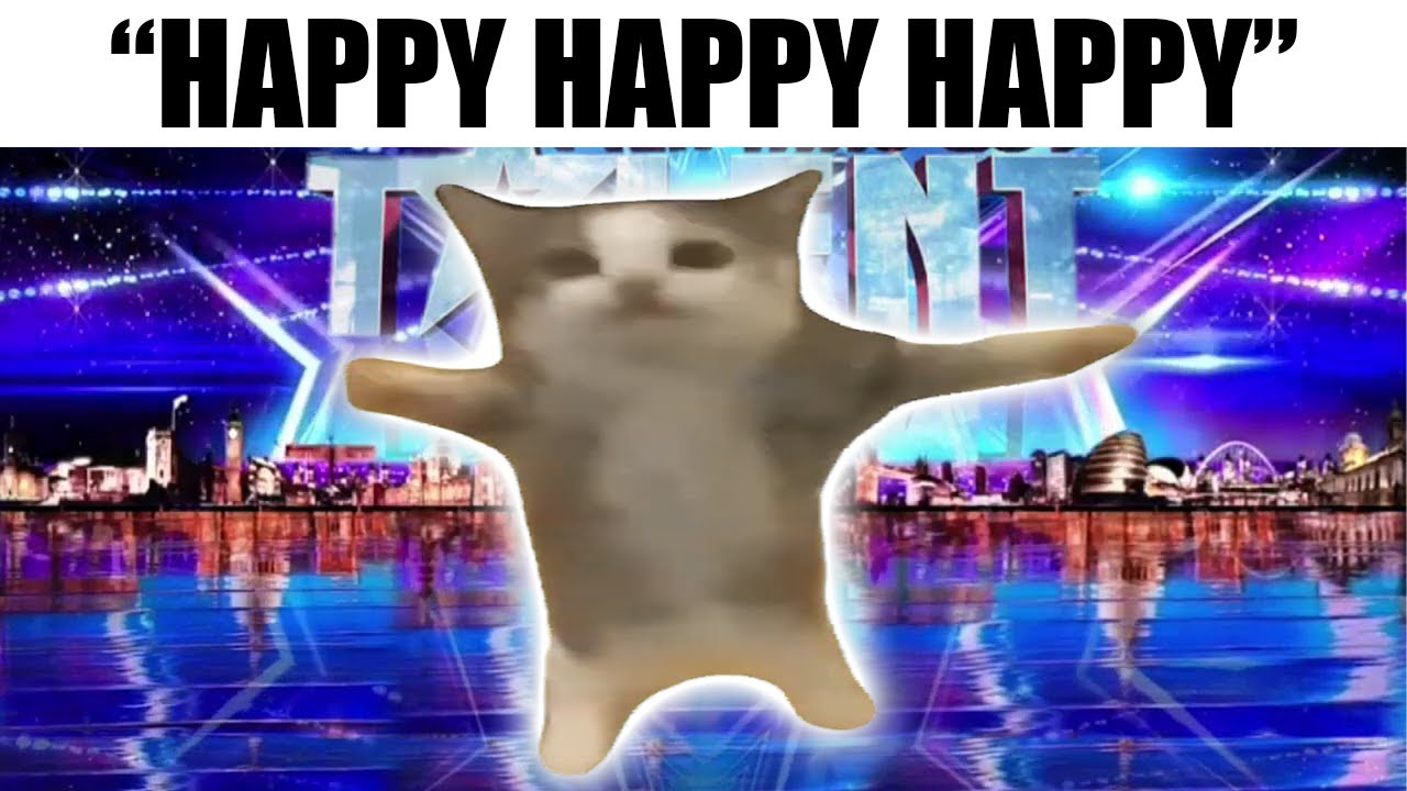 Happy Happy Happy Cat at Ohio's Got Talent - YouTube