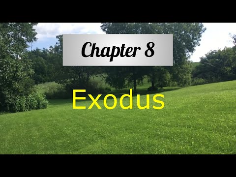 Exodus Chapter 8 - YouTube