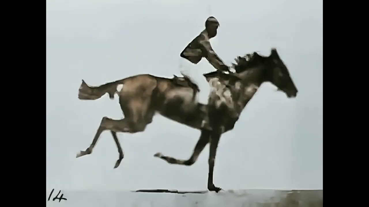 The Horse in Motion by Eadweard Muybridge - 1878 - 4k Upscaling + AI ...