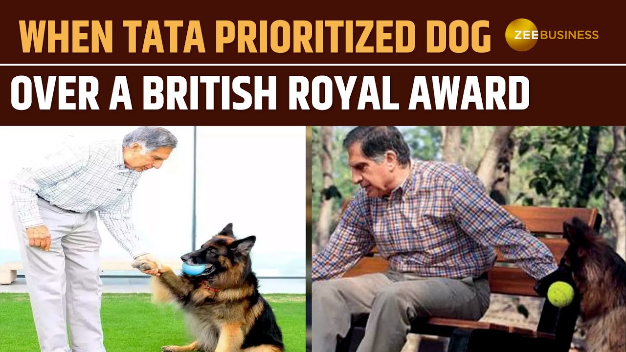 Ratan Tata Last Rites: Why strays can check in anytime at Taj Mumbai ...