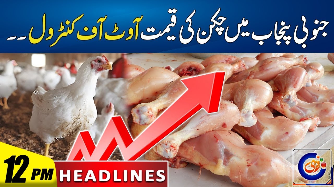 Chicken Price Hike l 12pm News Headlines l 10 Feb 2025 l Rohi - YouTube