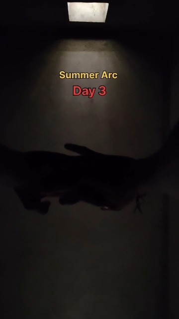 Day 3 | Summer Arc #trendingno1 #homeworkoutchallenge #motivation - YouTube