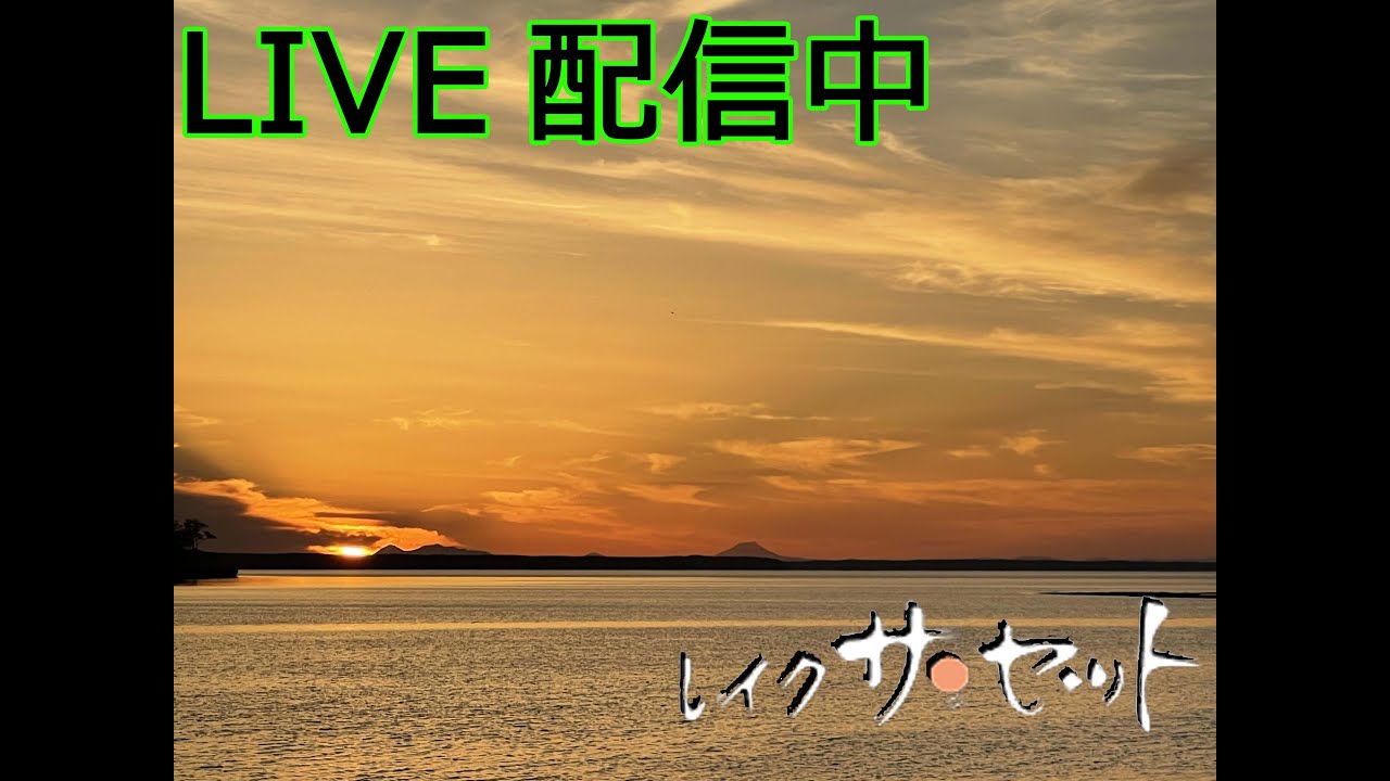 野鳥の宝庫『風蓮湖』ライブ配信 Hokkaido -Lake Furen- A Treasure Trove of Wild Birds ...