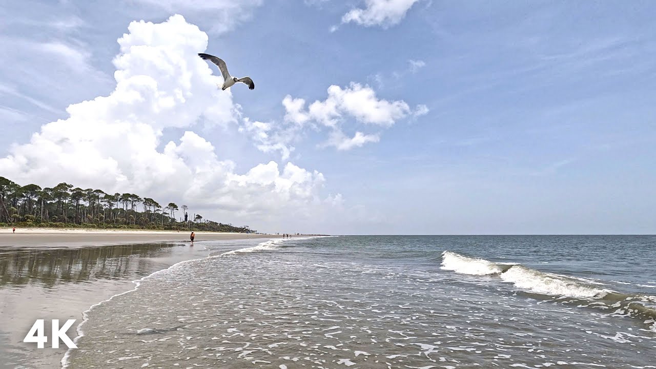 Hunting Island State Park Beach Walk, Windy Ocean Sounds - YouTube