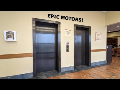 EPIC MOTORS! Schindler 330a hydraulic elevators at Wegmans Dulles 28 ...