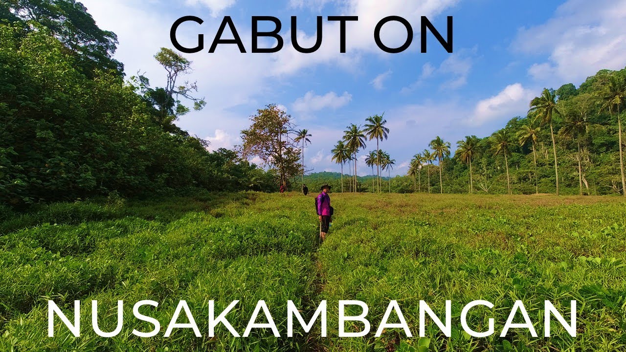 Pantai Kalipat | Pantai Kali Kencana | Pasir Putih | Teluk Penyu Kalah ...