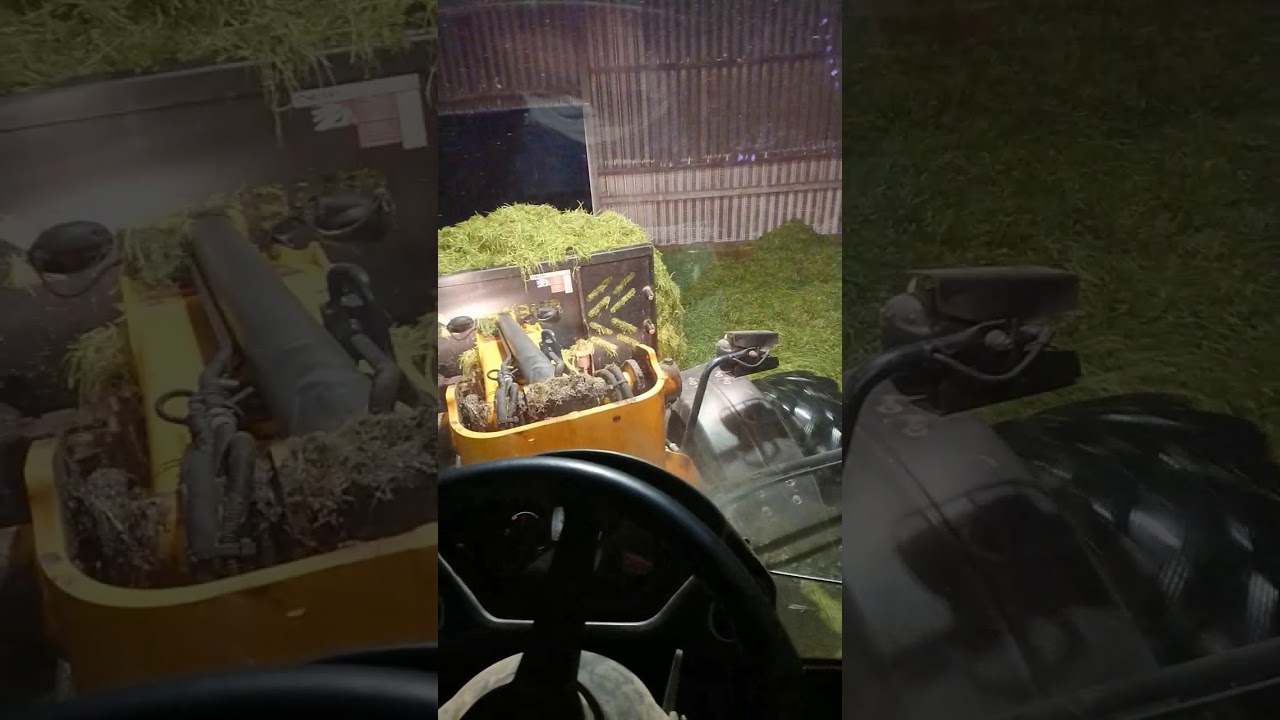 Silage 2019 jcb 320s buckrake - YouTube