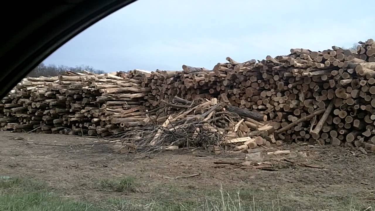 Steve Sherman Bull Mill Road Logging Pile - YouTube