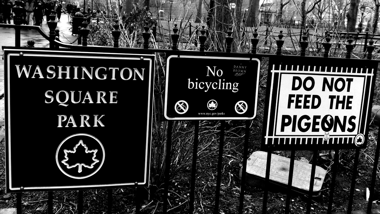 Abiola Ogunbiyi Live Stream - YouTube