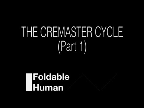 Folding Ideas - The Cremaster Cycle (Part 1 of 2) - YouTube