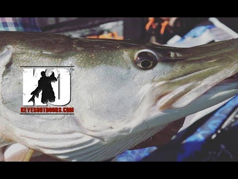 Musky Fishing the PMTT in Cave Run, Kentucky and Eagle River, Wisconsin ...