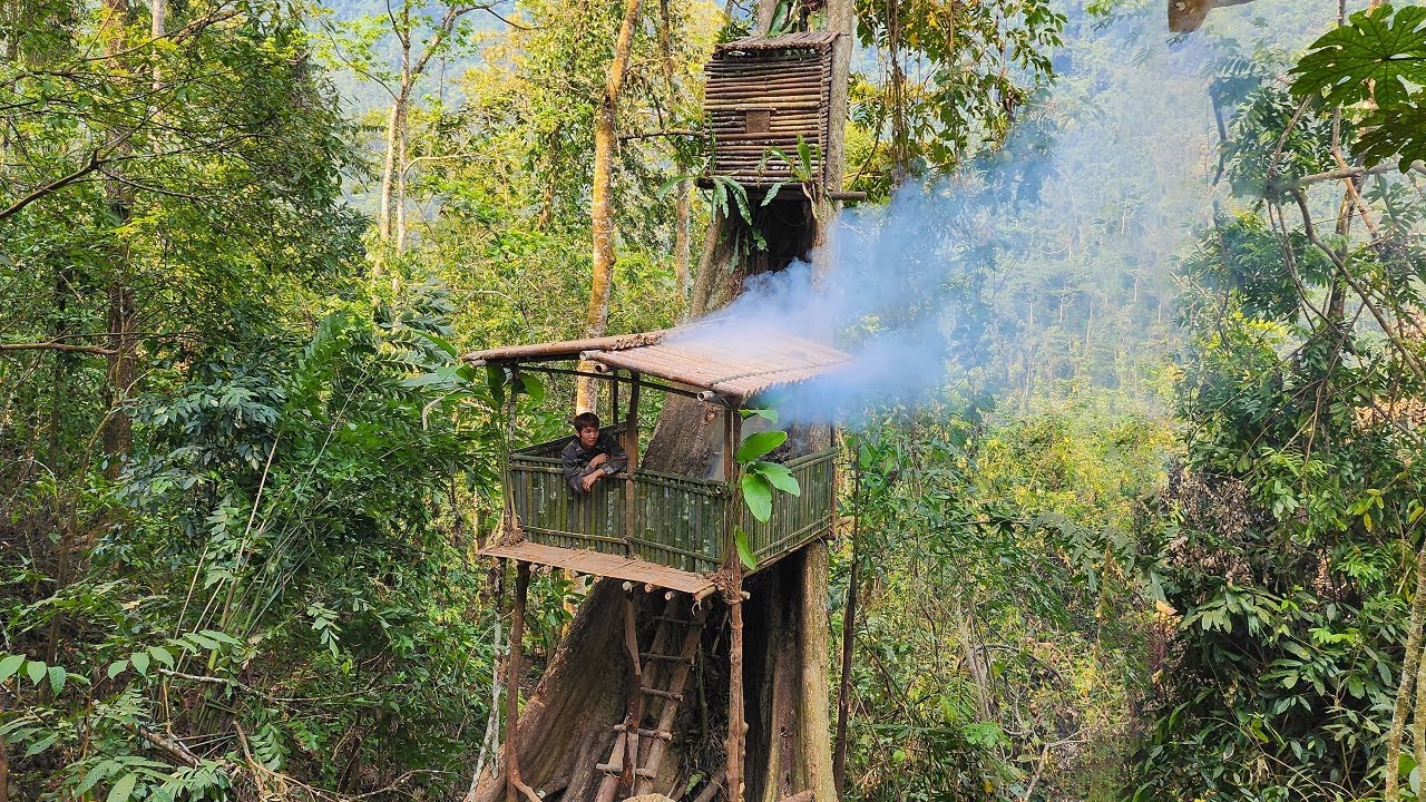 Build a complete bushcraft survival shelter on a giant tree | Solo ...