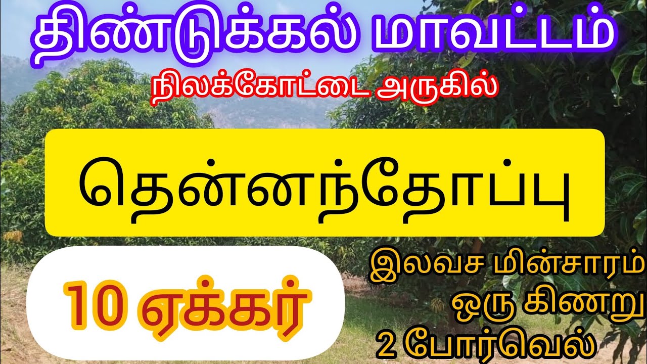 Dindigul District, Nilakottai Taluk, ll coconut trees ll thoppu 10 ...