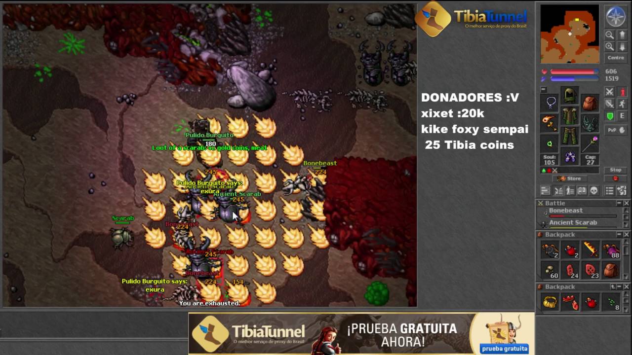 Tibia Hunt MS 100+ 450/620k exp/h profit ancient scarab - YouTube