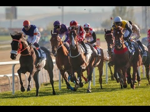 Cumhurbaşkanlığı Koşusu (Grup - 1) 27/10/2018