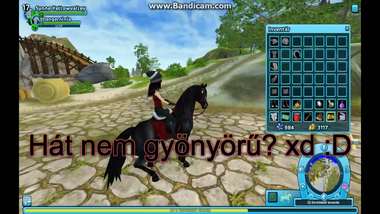 SSO - Buying horses ~Morgan horses and Thoroughbred horses~ - YouTube