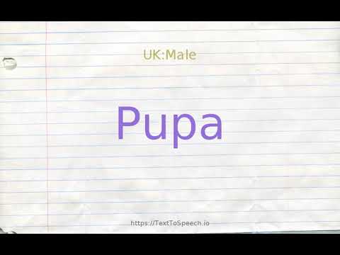How to pronounce pupa - YouTube