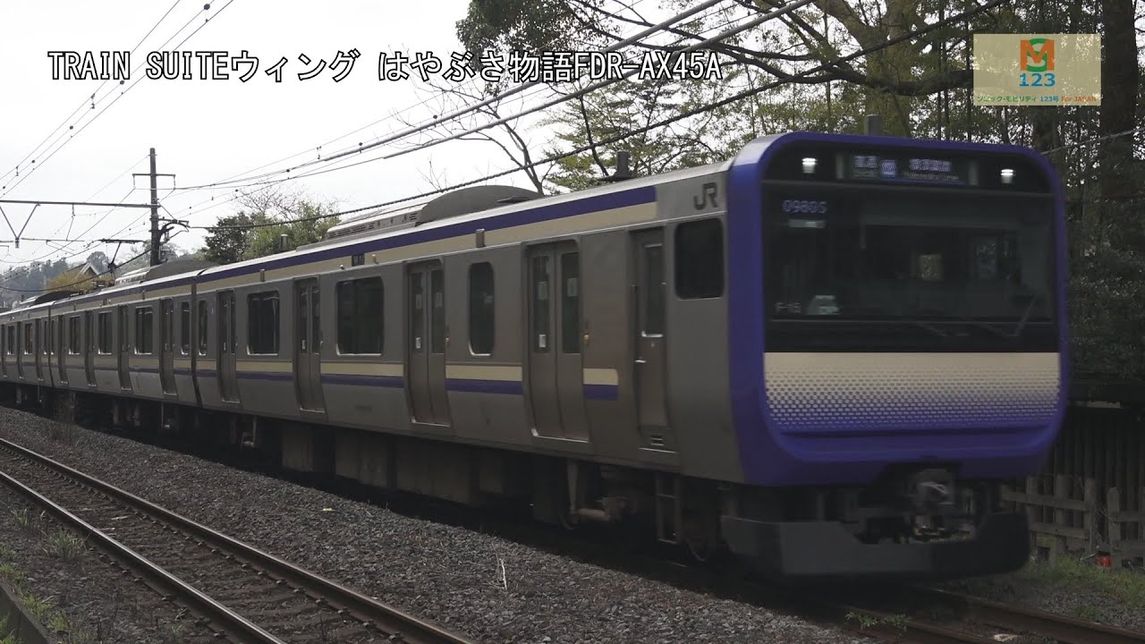 横須賀線E235系1000番台F-15編成+E235系1000番台J-17編成JO08･JS08北鎌倉～JO09･JS09大船間【はやぶさ物語】FDR-AX45A - YouTube