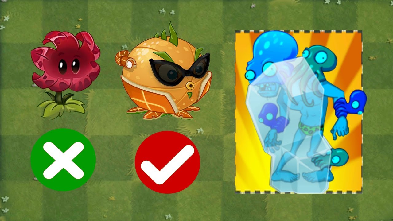 Meteor Flower & All Order Plant Max Level Can Defeat 07 Octo Zombie ...