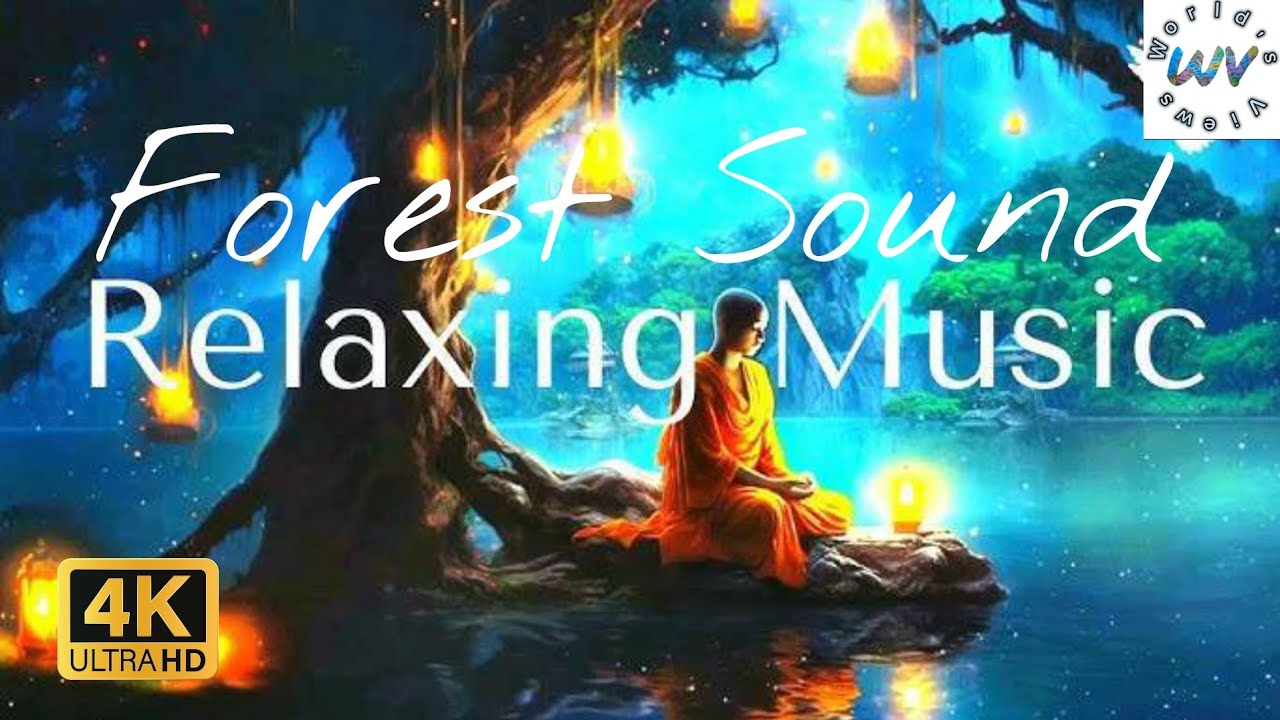 Forest Sound | Relaxing Music | Forest | Birds Singing | Nature Sound ...