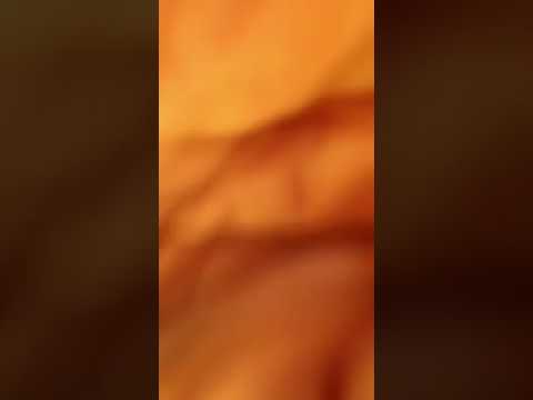 #DontRushChallenge \